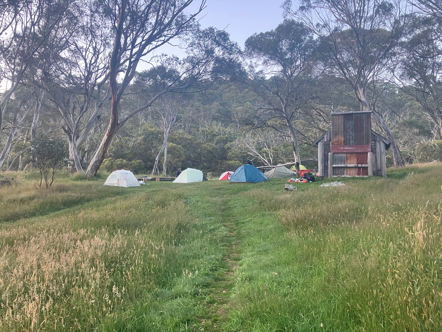 Welcome to the Border Bushwalking Club