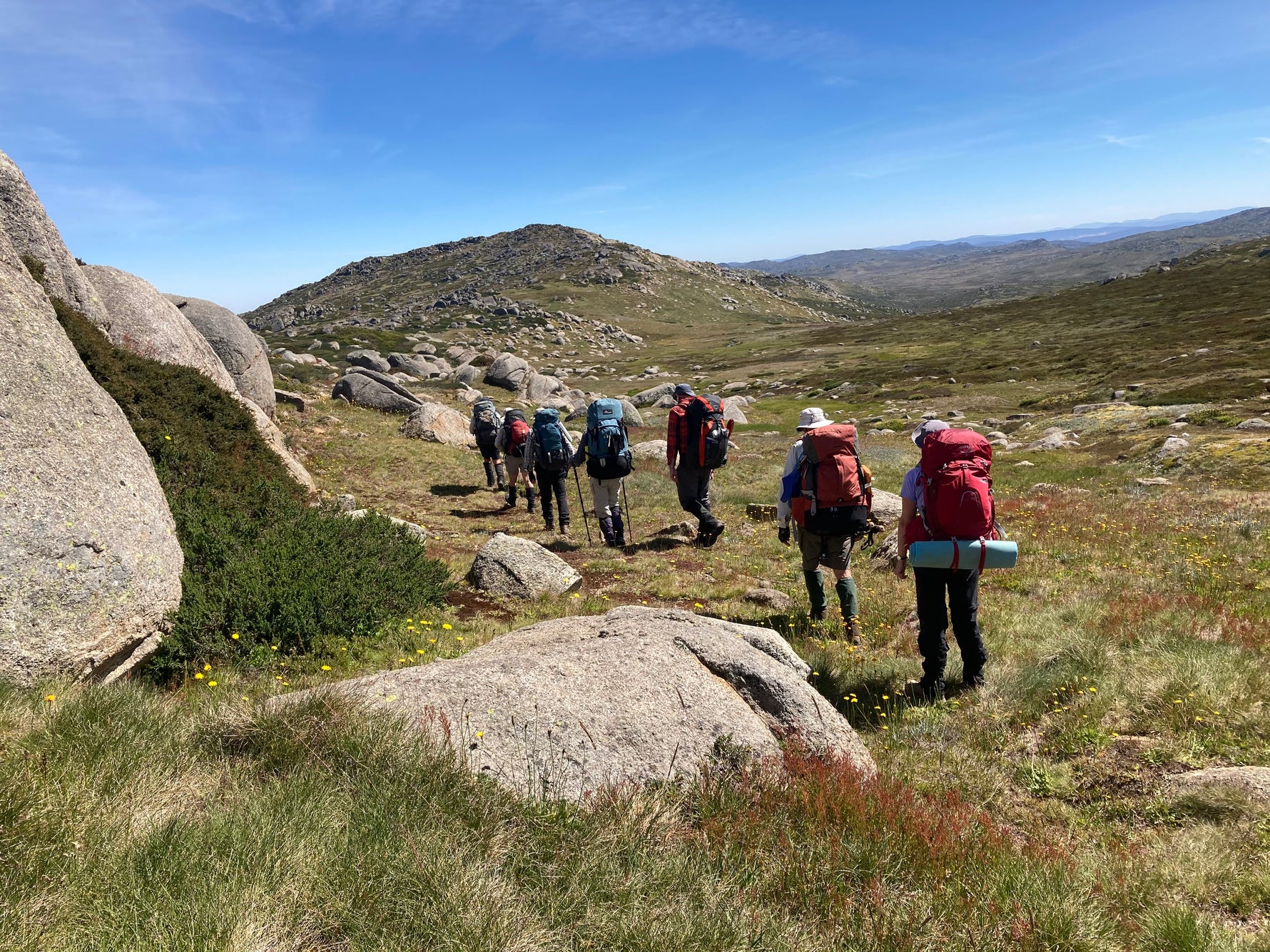 Welcome to the Border Bushwalking Club
